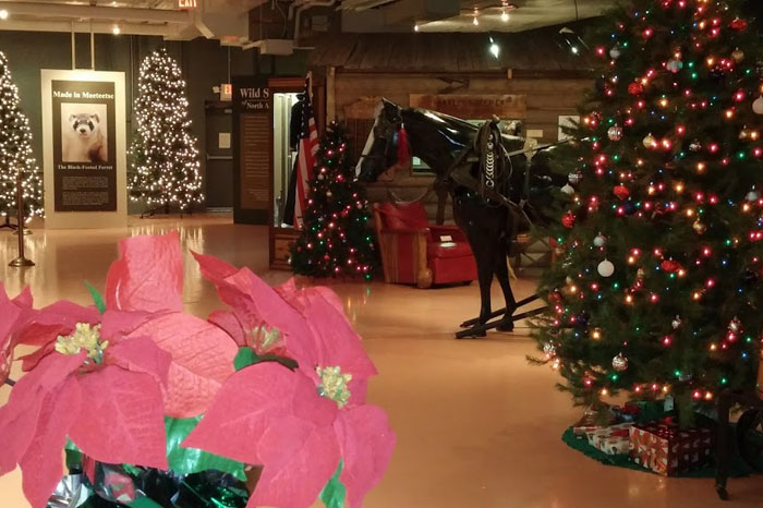 Meeteetse Museums in Meeteetse, Wyoming